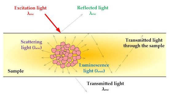 Optoelectronic Instrumentation and Measurement Strategies for Optical ...