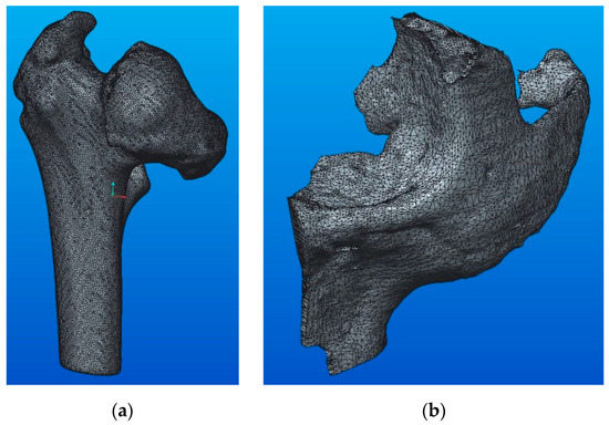 Generation of Computational 3D Models of Human Bones Based on STL Data ...