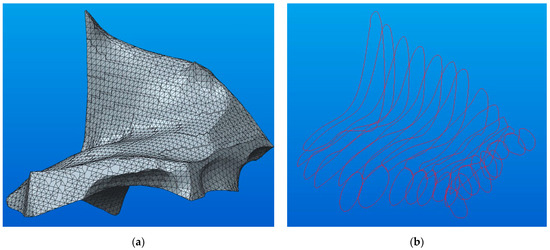 Generation of Computational 3D Models of Human Bones Based on STL Data and CAD Software Packages