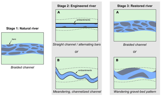 How to Quantify the Dynamics of Single (Straight or Sinuous) and ...