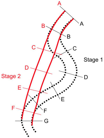 How to Quantify the Dynamics of Single (Straight or Sinuous) and ...