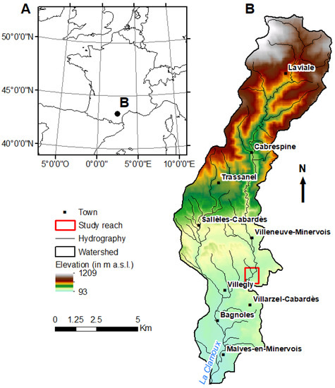 How to Quantify the Dynamics of Single (Straight or Sinuous) and ...