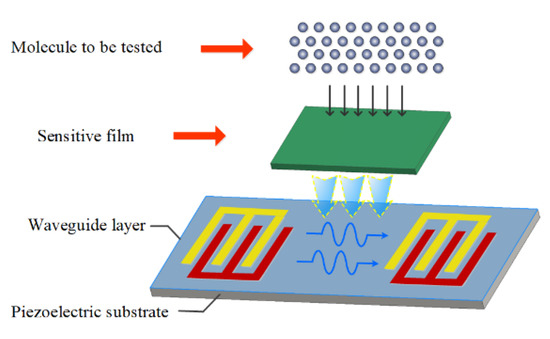 A Novel Love Wave Mode Sensor Waveguide Layer with Microphononic Crystals