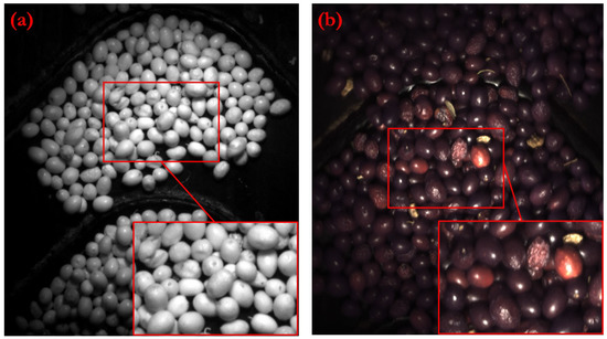 Automatic System for the Detection of Defects on Olive Fruits in an Oil ...