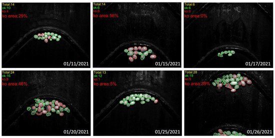 Automatic System for the Detection of Defects on Olive Fruits in an Oil ...