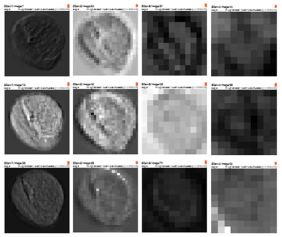 Deep Learning Model for the Inspection of Coffee Bean Defects