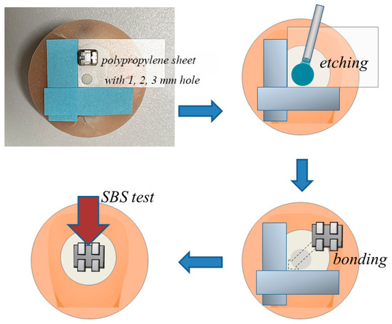 Influence of Pre-Etched Area and Functional Monomers on the Enamel Bond ...