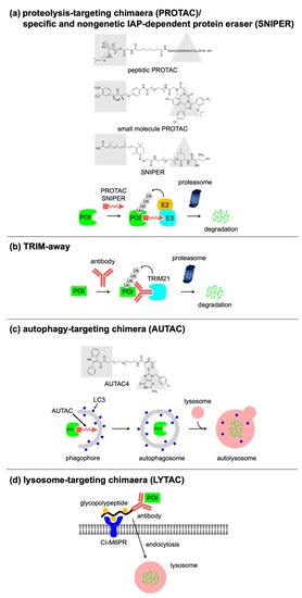 Applied Sciences | Free Full-Text | Strategies for Post-Translational ...