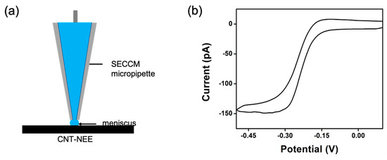 Nanoelectrode Ensembles Consisting of Carbon Nanotubes