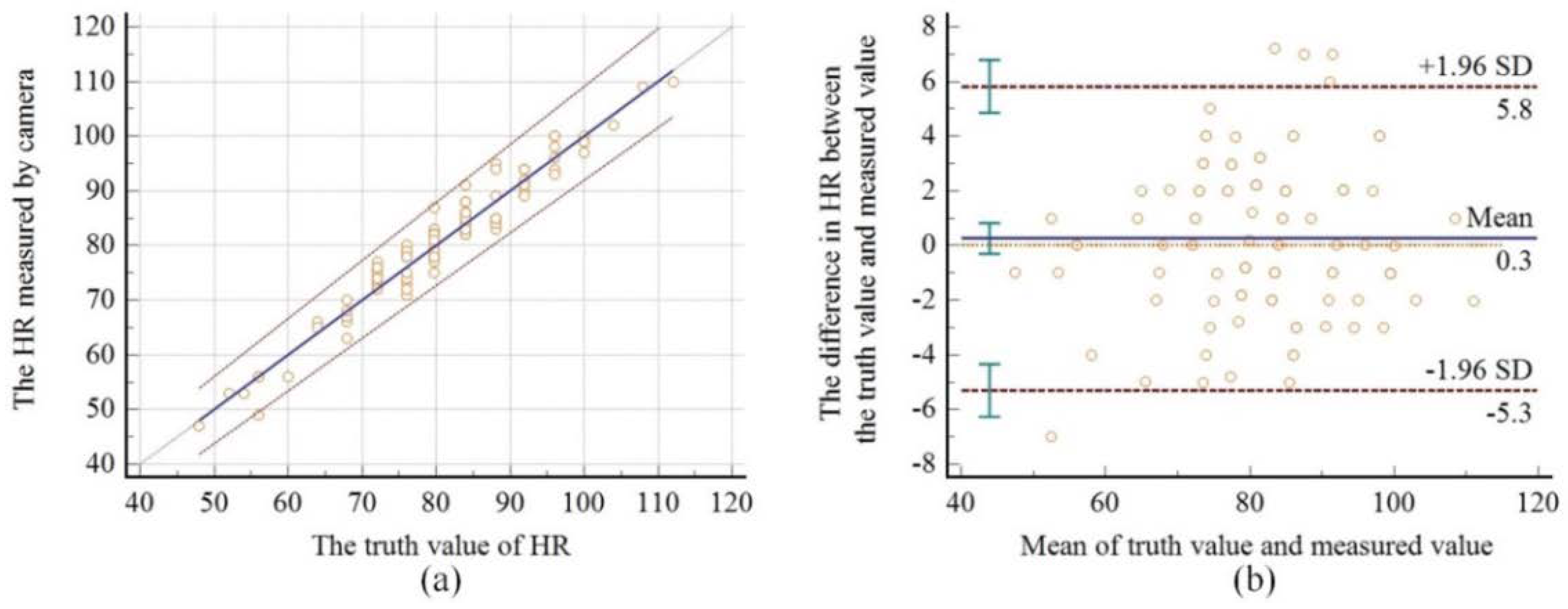 Non-Contact Heart Rate Detection Based on Hand Vein Transillumination ...