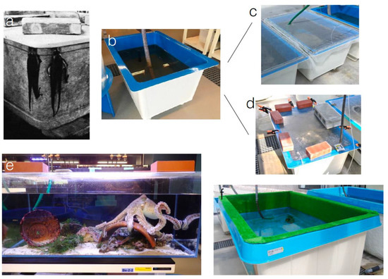 Improving Keeping for Octopuses by Testing Different Escape-Proof ...