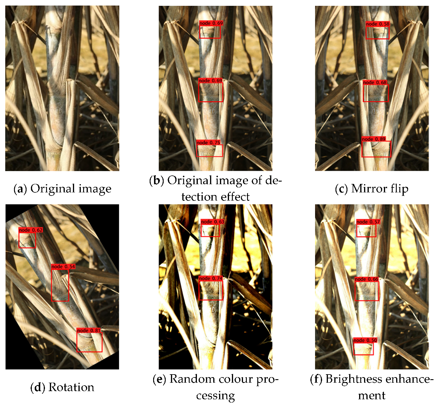Sugarcane Stem Node Recognition in Field by Deep Learning Combining Data Expansion