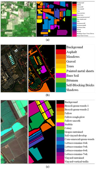 Contrastive Learning Based on Transformer for Hyperspectral Image ...