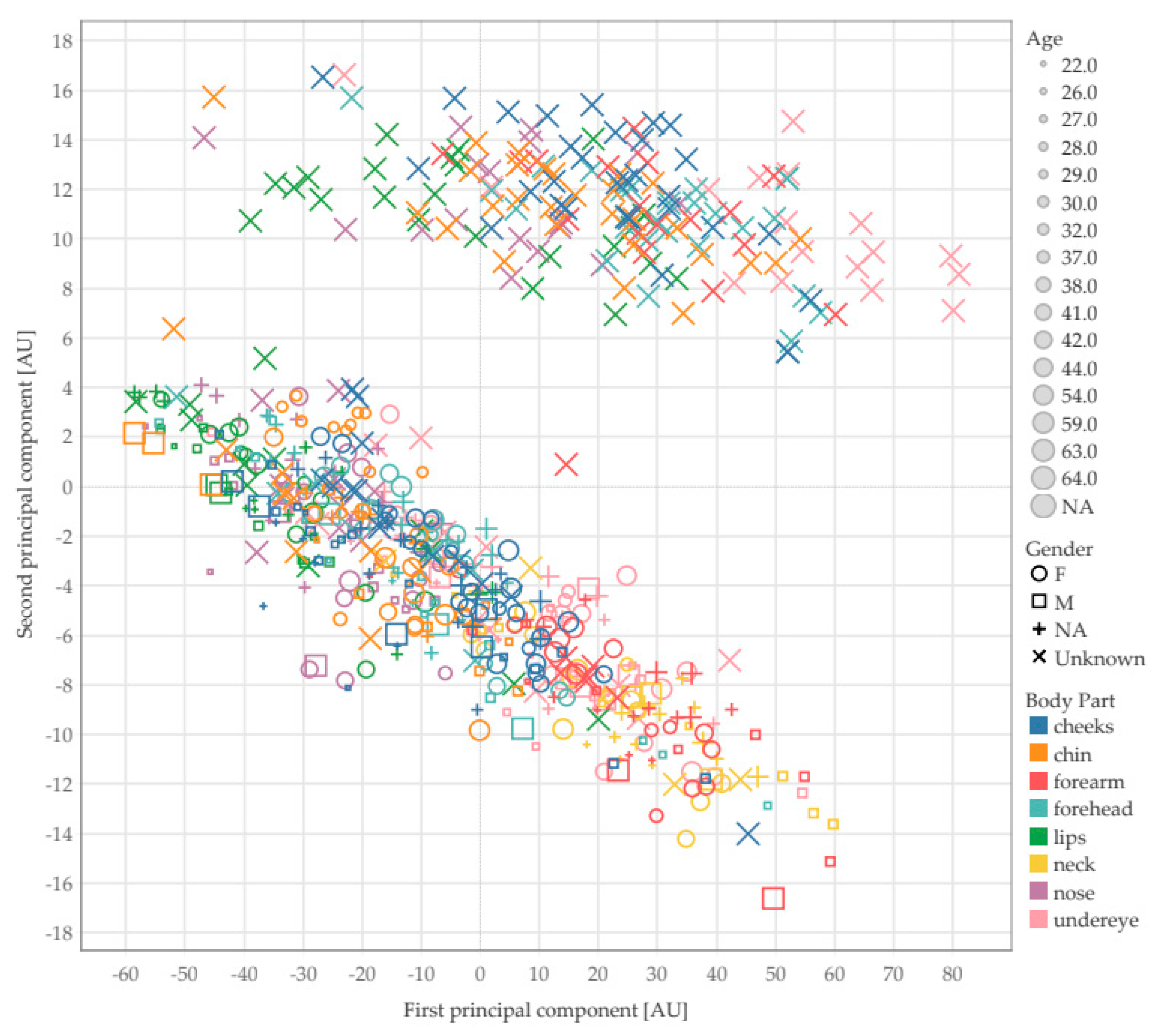 Skin Characterizations by Using Contact Capacitive Imaging and High ...