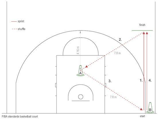 Collection and Advice on Basketball Field Tests—A Literature Review