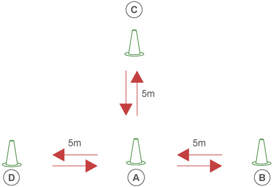 Collection and Advice on Basketball Field Tests—A Literature Review