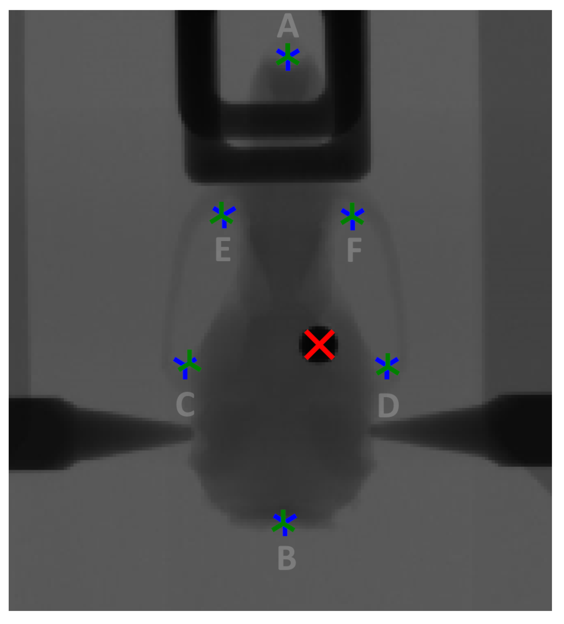 Incorporating Clinical Imaging into the Delivery of Microbeam Radiation ...