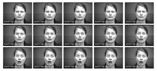A Unified Framework of Deep Learning-Based Facial Expression ...