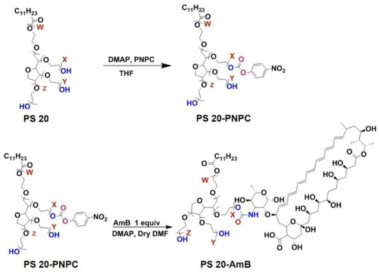 Polysorbate-Based Drug Formulations for Brain-Targeted Drug Delivery ...