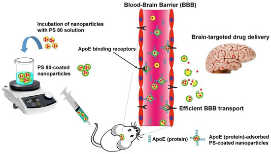 Polysorbate-Based Drug Formulations for Brain-Targeted Drug Delivery ...
