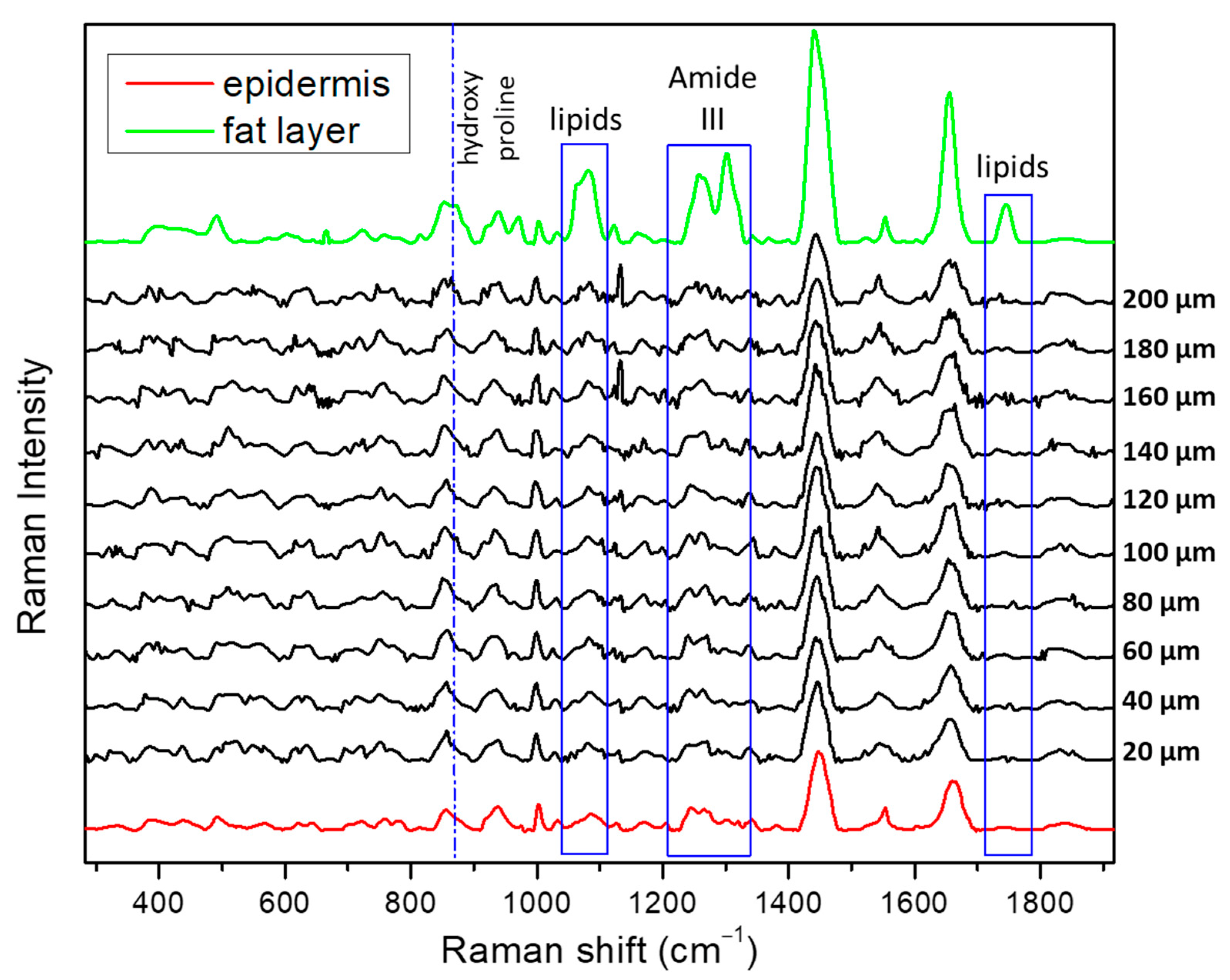 Assessment of Skin Deep Layer Biochemical Profile Using Spatially ...