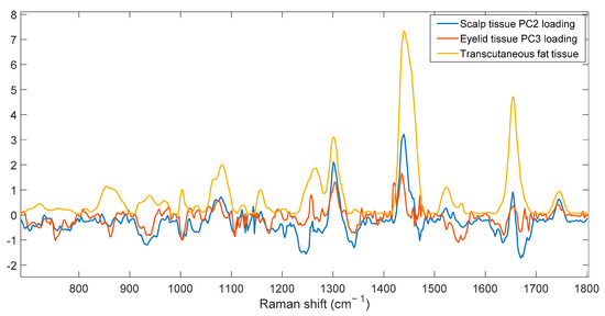 Applied Sciences | Free Full-Text | Assessment of Skin Deep Layer ...