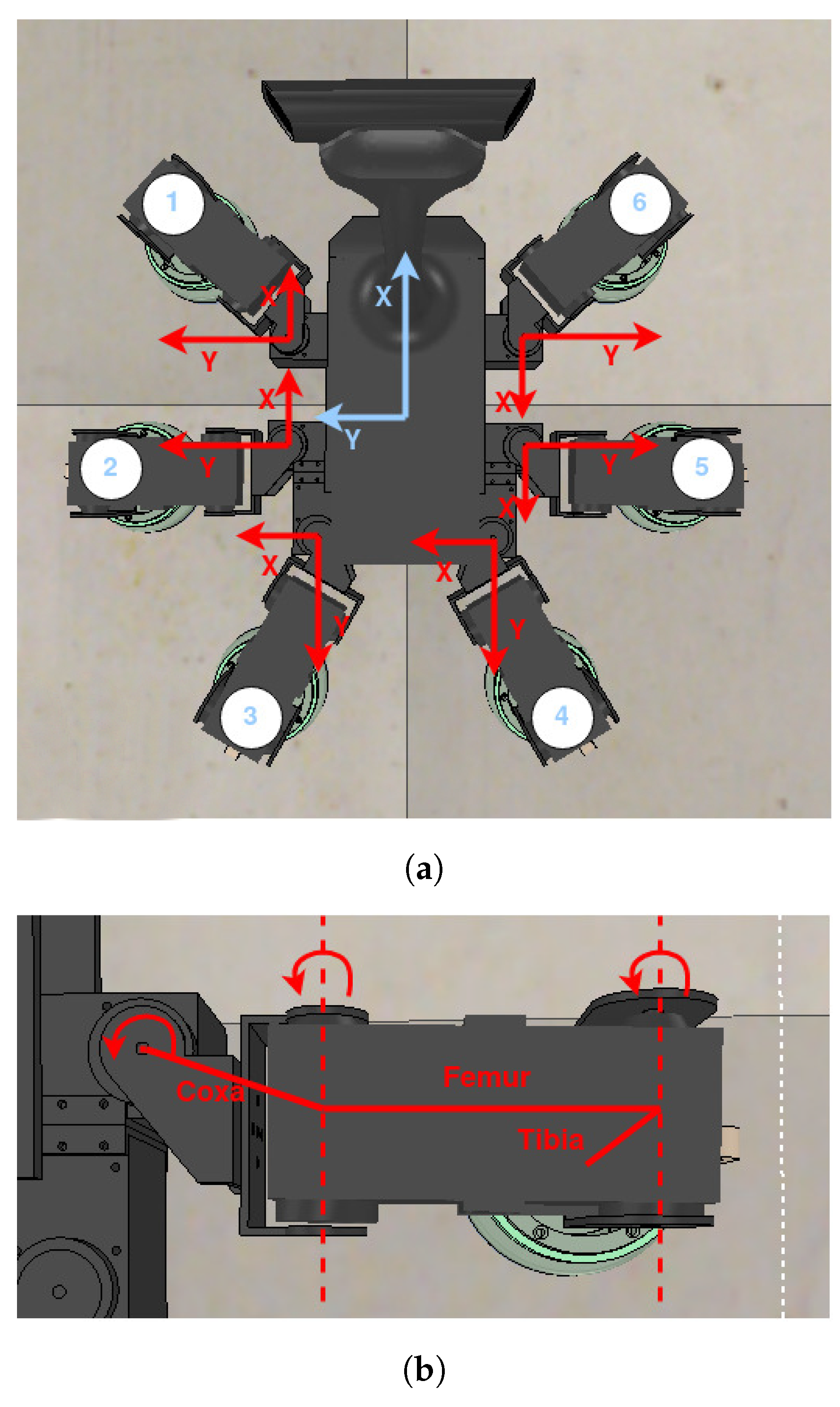 Behavior-Based Control Architecture for Legged-and-Climber Robots