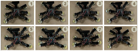 Behavior-Based Control Architecture for Legged-and-Climber Robots