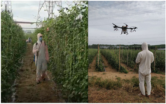 Minimizing Occupational Exposure to Pesticide and Increasing Control ...