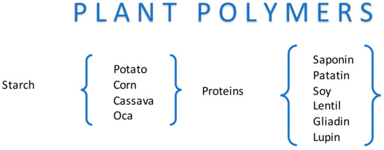 Applications of Plant Polymer-Based Solid Foams: Current Trends in the ...