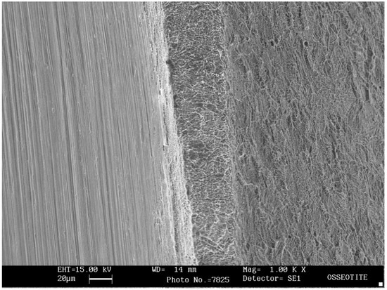 Applied Sciences | Free Full-Text | Peri-Implant Tissue Behaviour Next ...