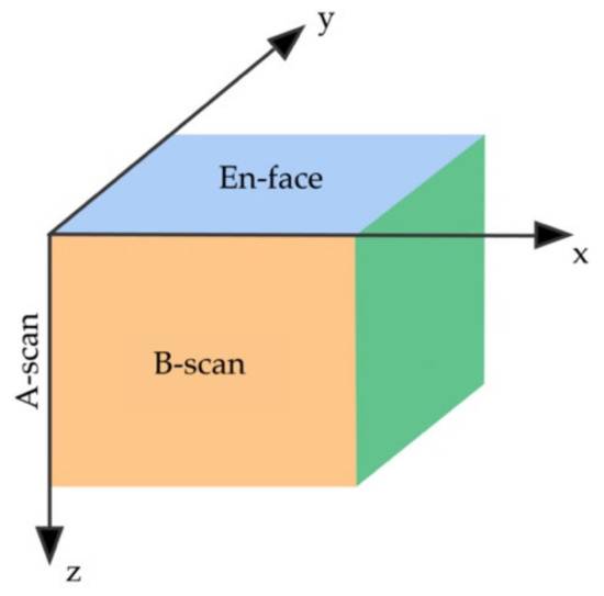 Applied Sciences | Free Full-Text | Automatic Segmentation and Classification Methods Using ...