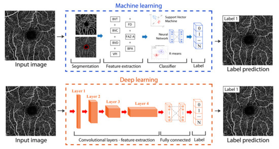 Applied Sciences | Free Full-Text | Automatic Segmentation and ...
