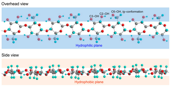 Fabricating Sustainable All-Cellulose Composites