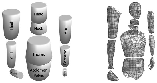 Personalization of a Human Body Model Using Subject-Specific Dimensions ...