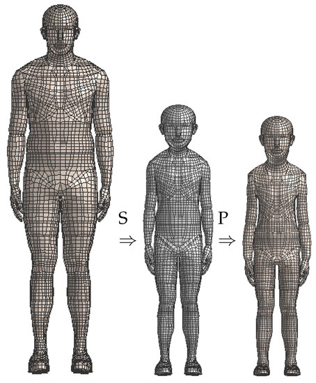 Personalization of a Human Body Model Using Subject-Specific Dimensions ...