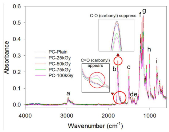 State-of-the-Art Modification of Plastic Aggregates Using Gamma ...