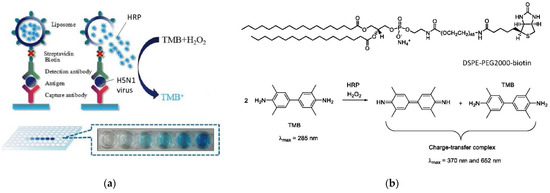 Lipid Vesicles and Other Polymolecular Aggregates—From Basic Studies of ...