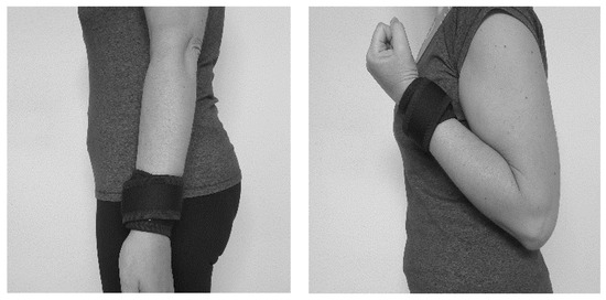 Protocol of Action in Injuries of the Long Head of the Biceps Tendon ...