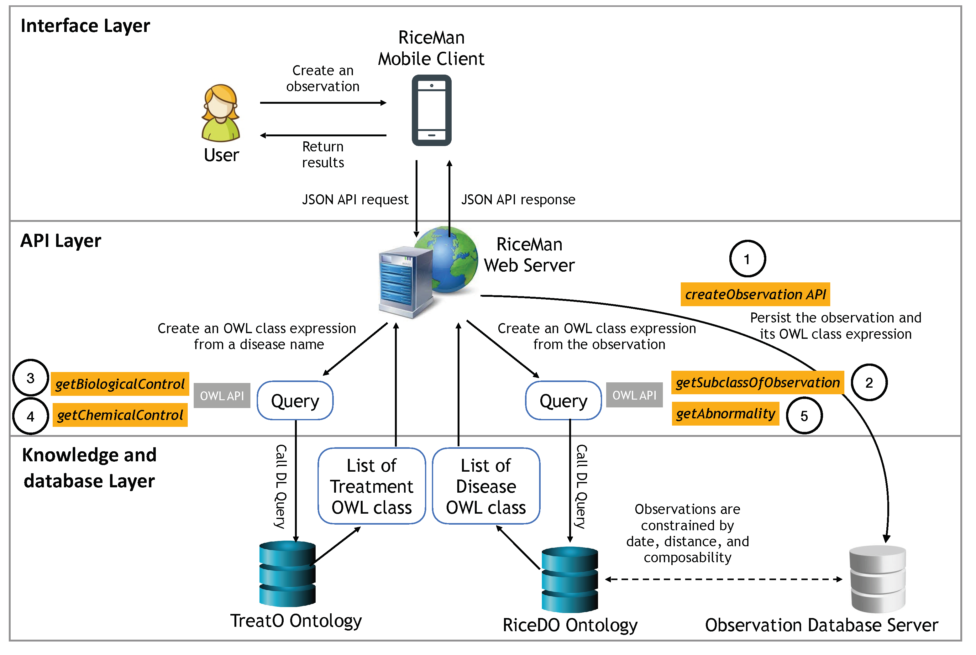 An Ontology-Based Expert System for Rice Disease Identification and ...