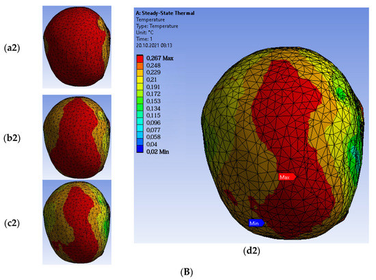 Skull Thickness Calculation Using Thermal Analysis and Finite Elements