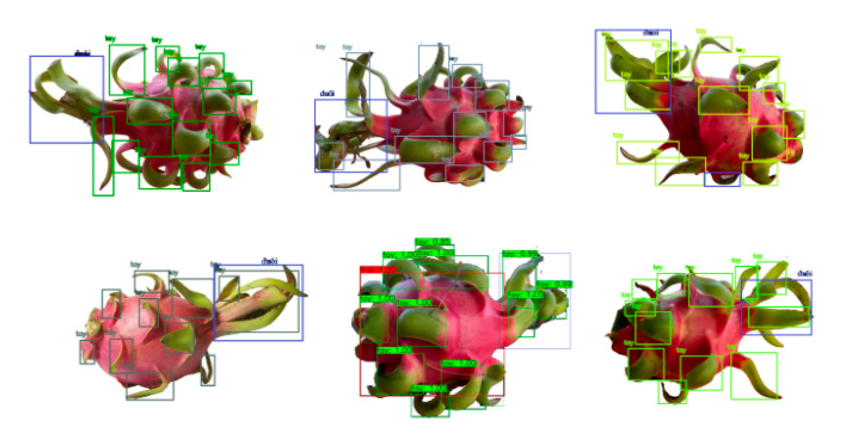 Quality Classification of Dragon Fruits Based on External Performance Using a Convolutional ...