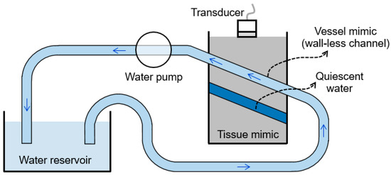 Image-Free Ultrasound Blood-Flow Monitoring Circuit System with ...