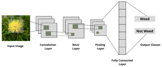 Weed Detection in Rice Fields Using Remote Sensing Technique: A Review