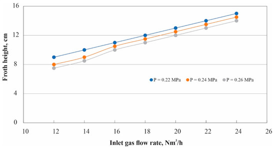 Experimental Study of the Influence of Gas Flow Rate on Hydrodynamic ...