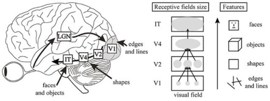 Memory Model for Morphological Semantics of Visual Stimuli Using Sparse ...