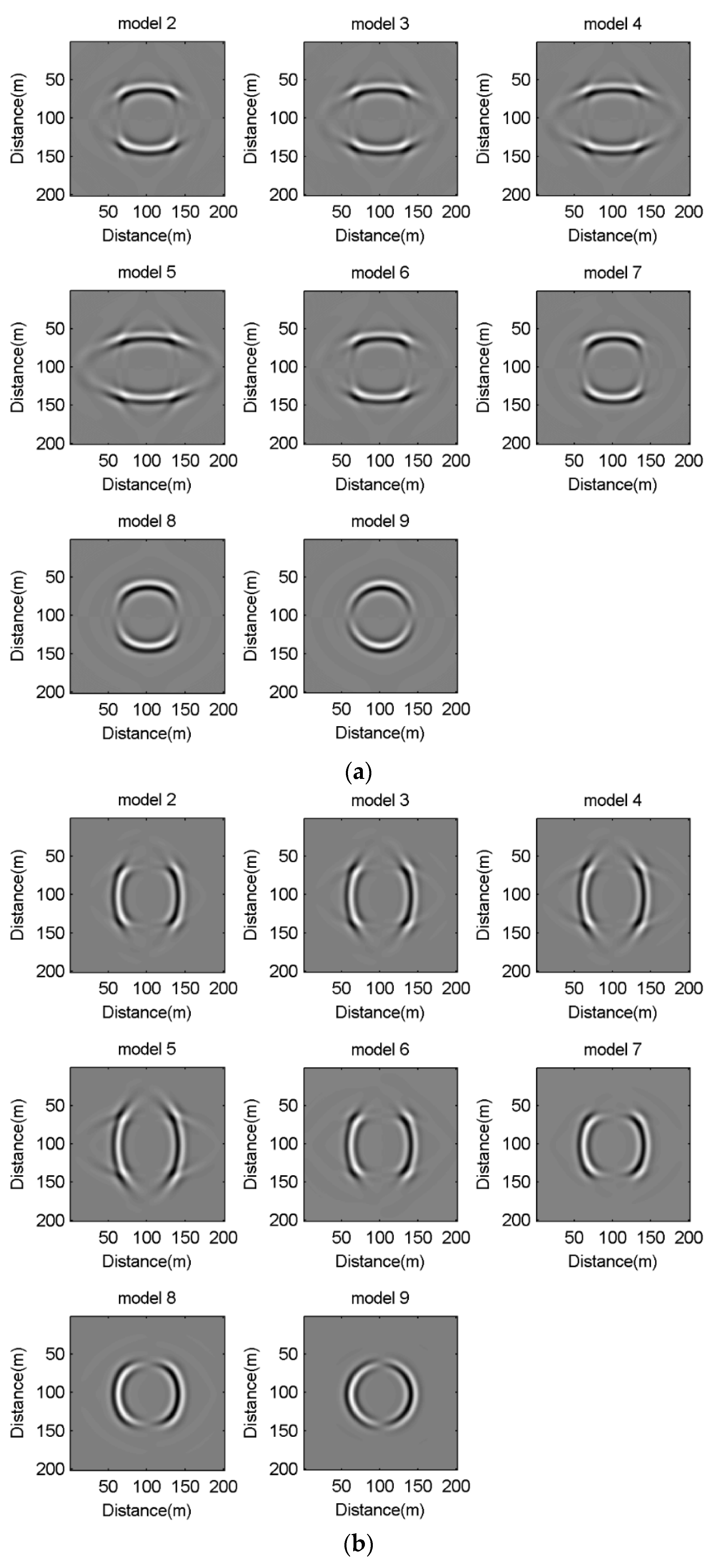 The Characteristics of Seismic Rotations in VTI Medium
