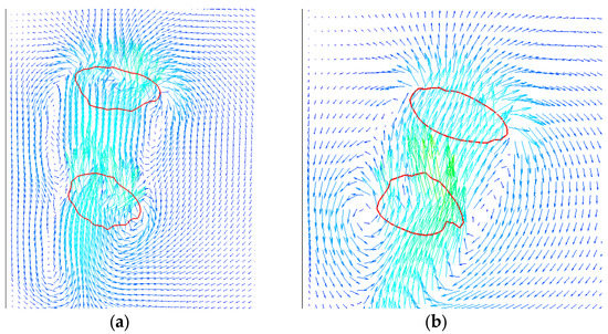 Numerical Study on the Rising Motion of Bubbles near the Wall