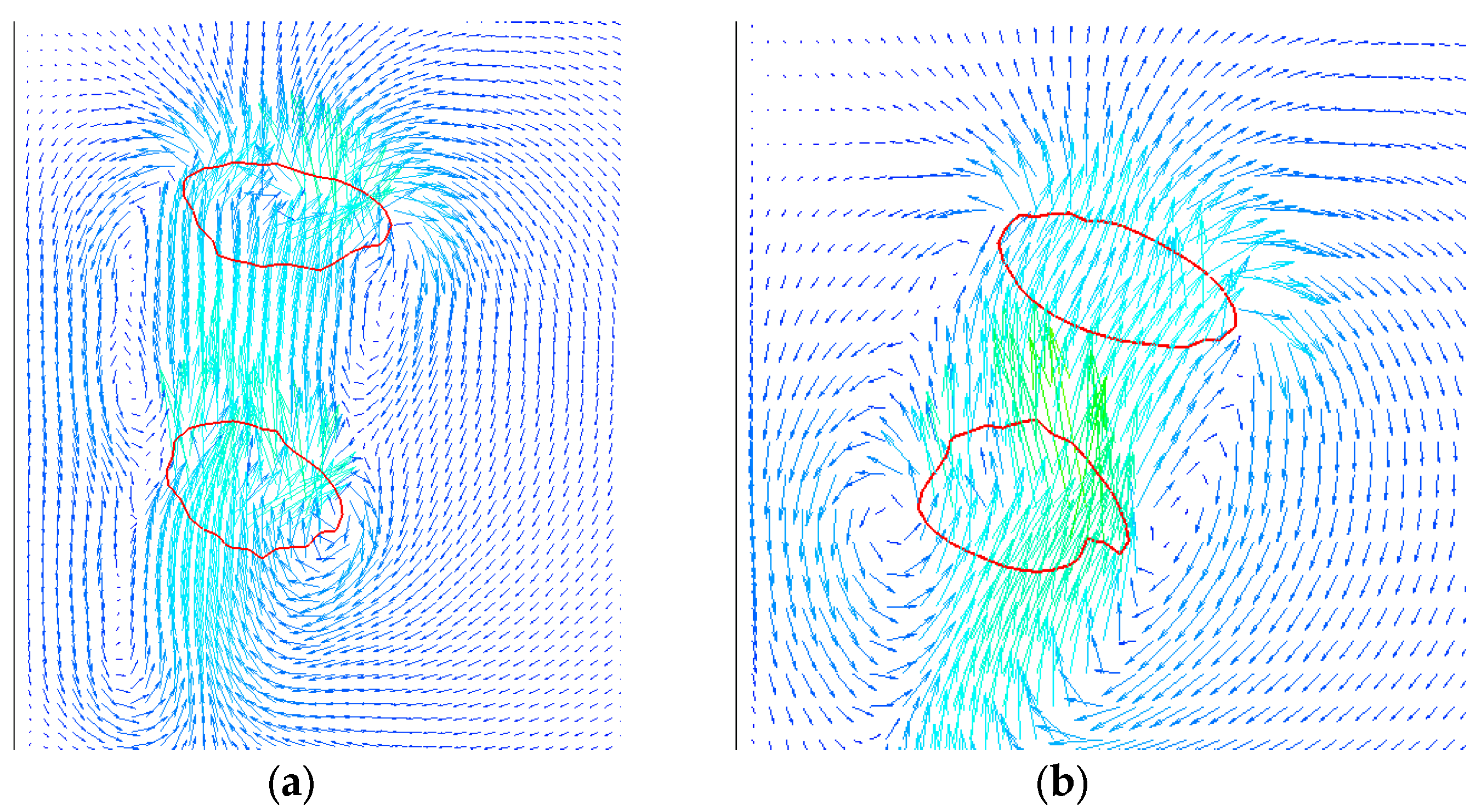 Numerical Study on the Rising Motion of Bubbles near the Wall