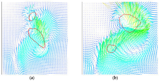 Numerical Study on the Rising Motion of Bubbles near the Wall